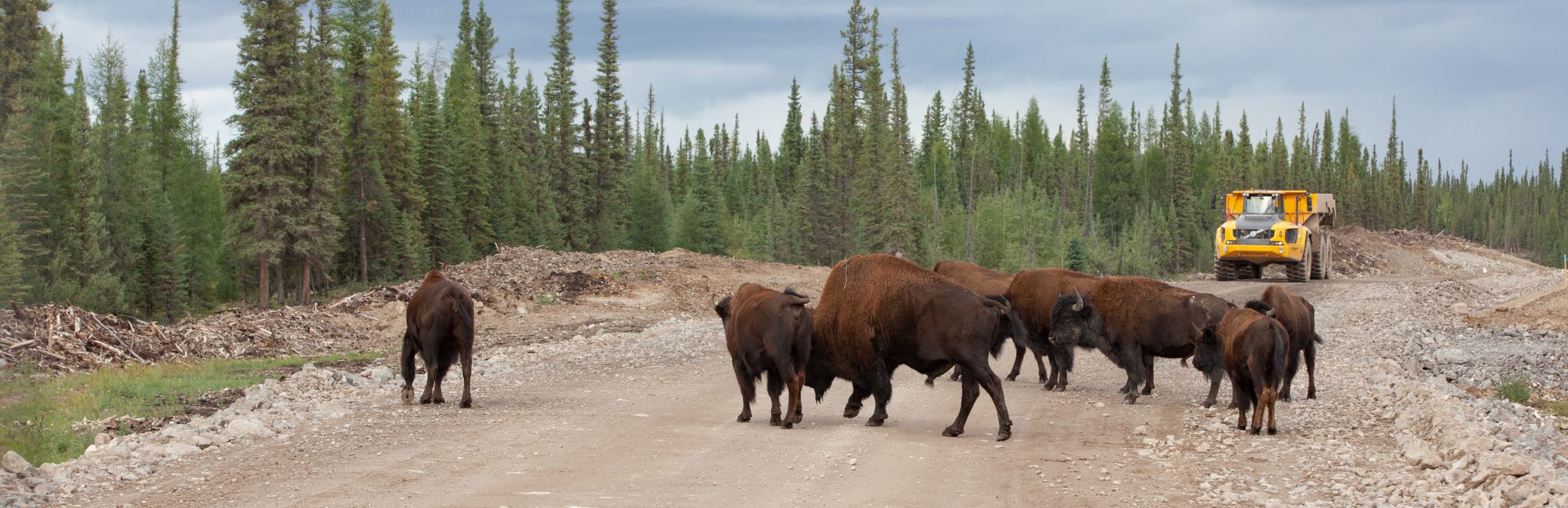 Tłı̨chǫ: Opening a new world - Kiewit Newsroom